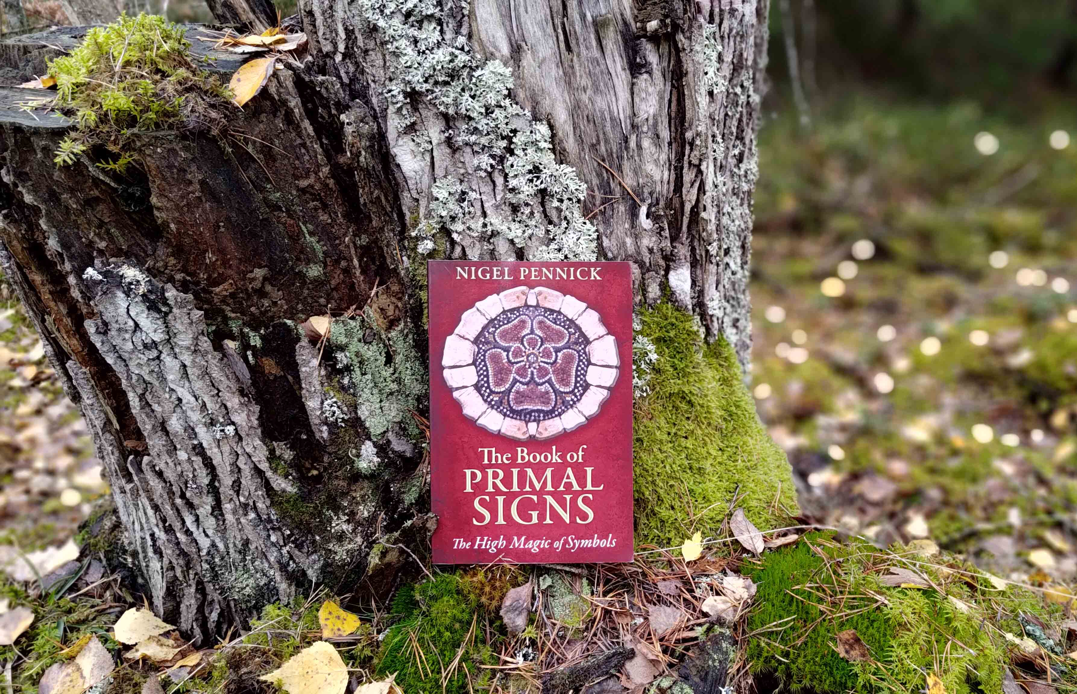 The Golden One | Honour the Gods, Love your Woman, Defend your Country